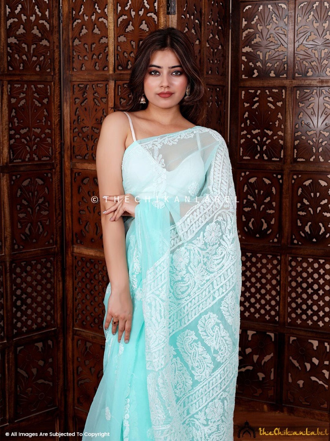 CHIKANKARI SAREES Lucknow Chikankari Georgette Sari Indian Traditional ...