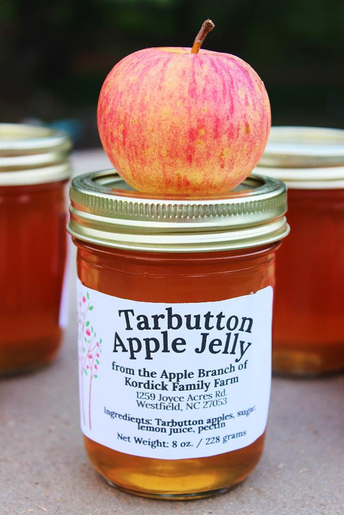 Tarbutton Apple Jelly - Etsy