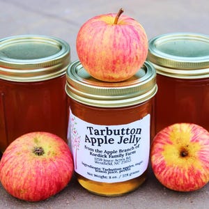 Tarbutton Apple Jelly - Etsy