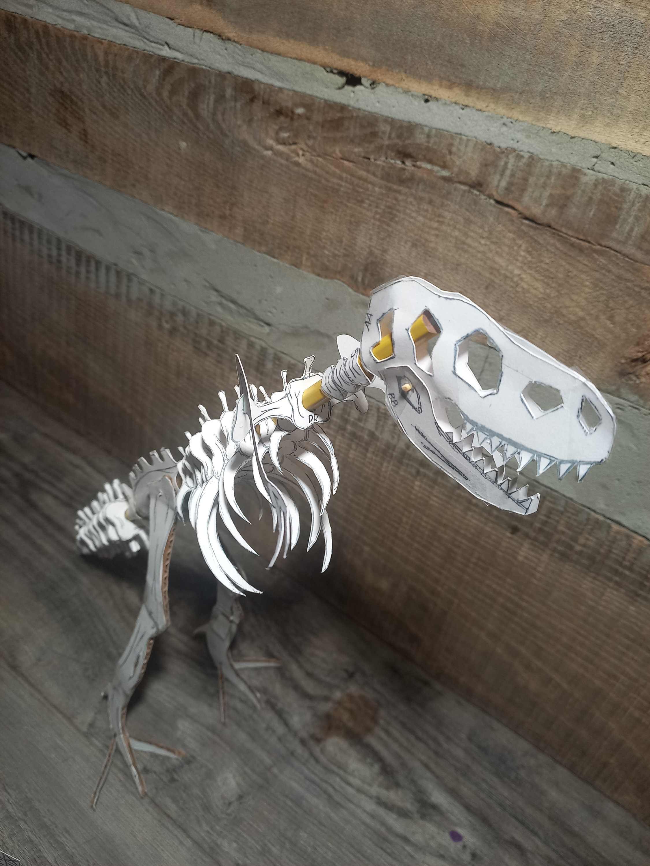 T-rex Skeleton Papercraft Template, Dinosaur Coloring Pages, Dinosaur ...