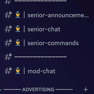 Discord Advertising Server Template - Etsy