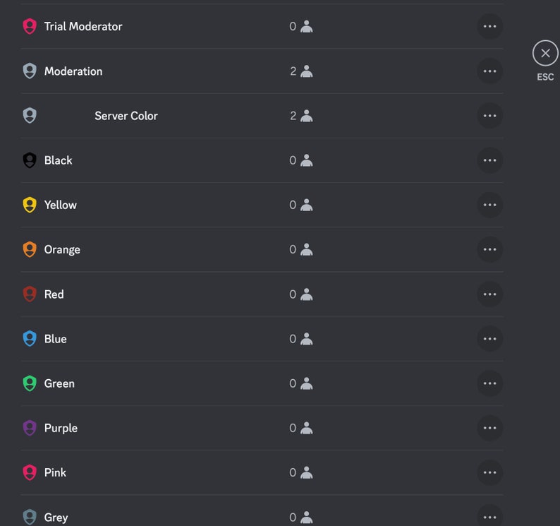 Discord Advertising Server Template - Etsy