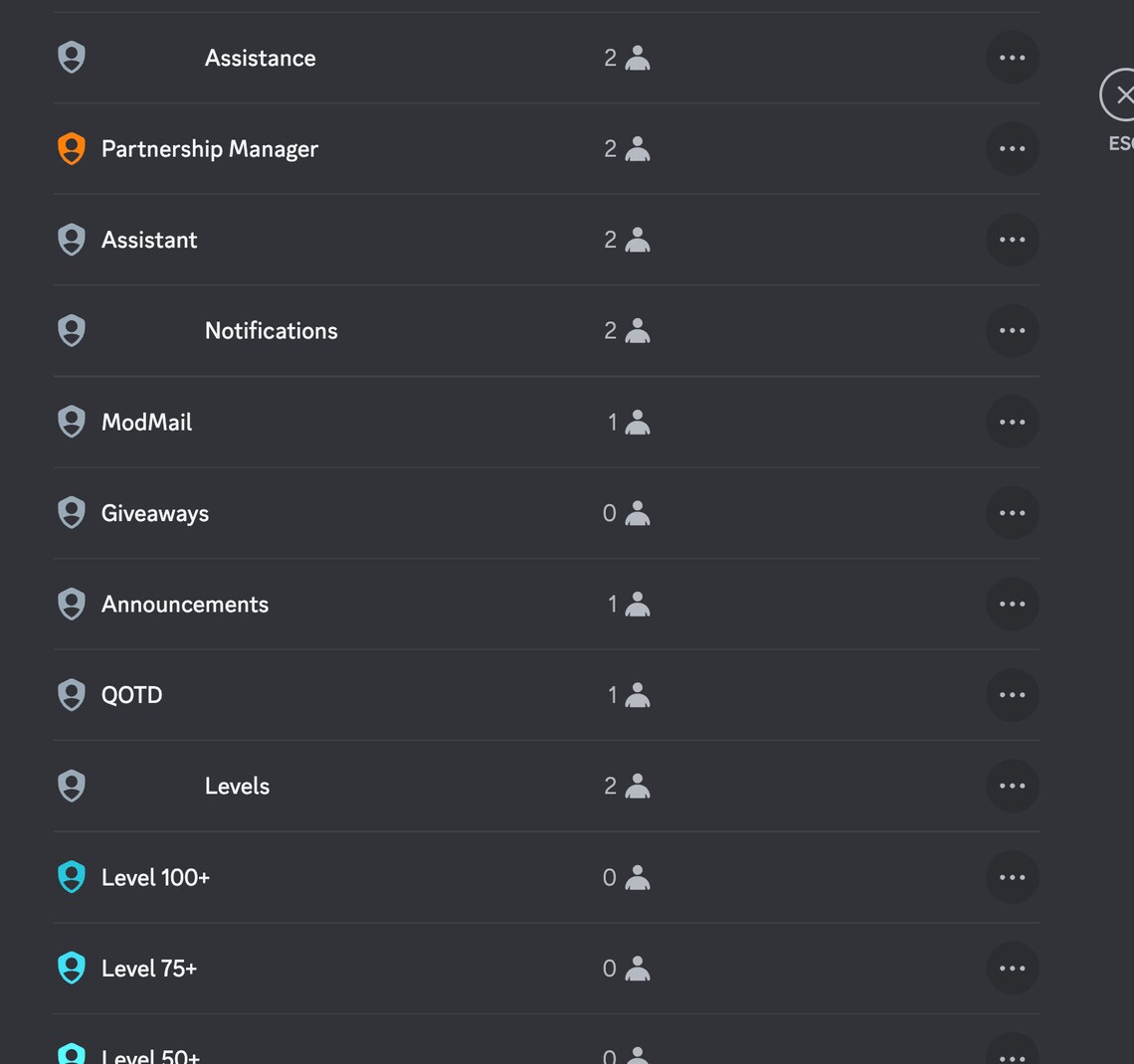 Discord Advertising Server Template - Etsy