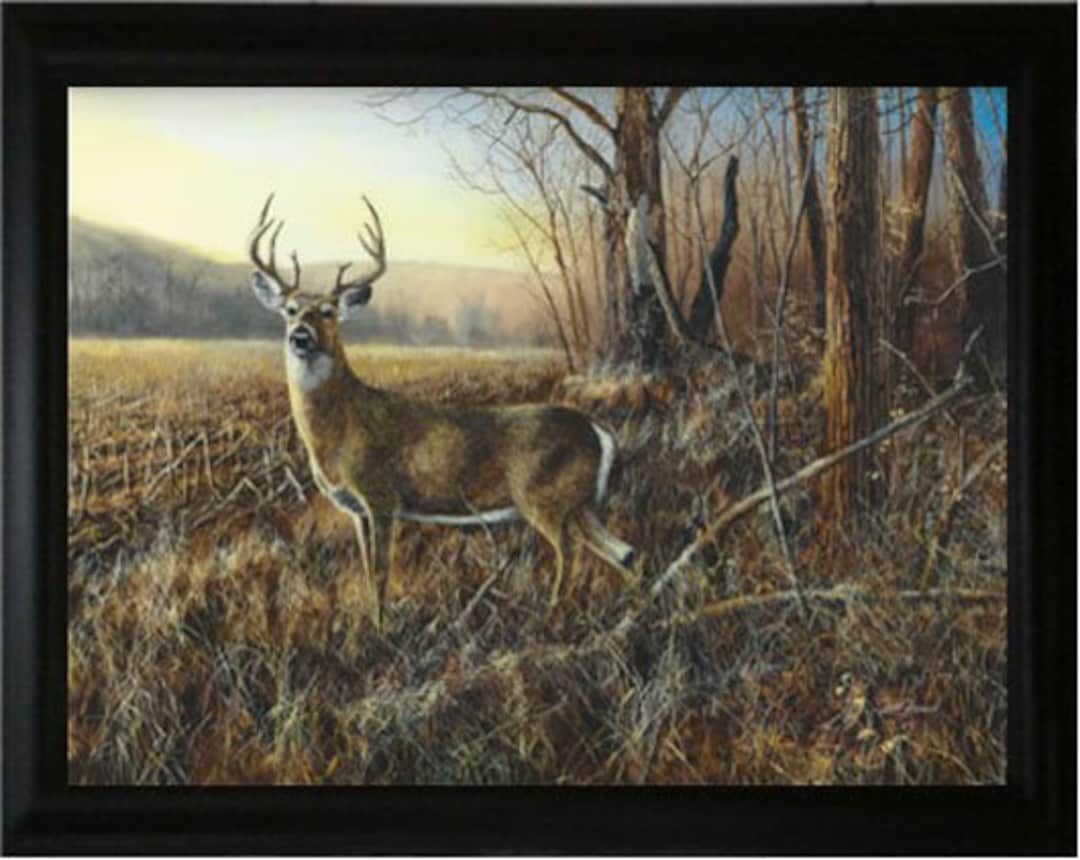 Buff Country Buck - Framed Art by Jim Hansel - Etsy