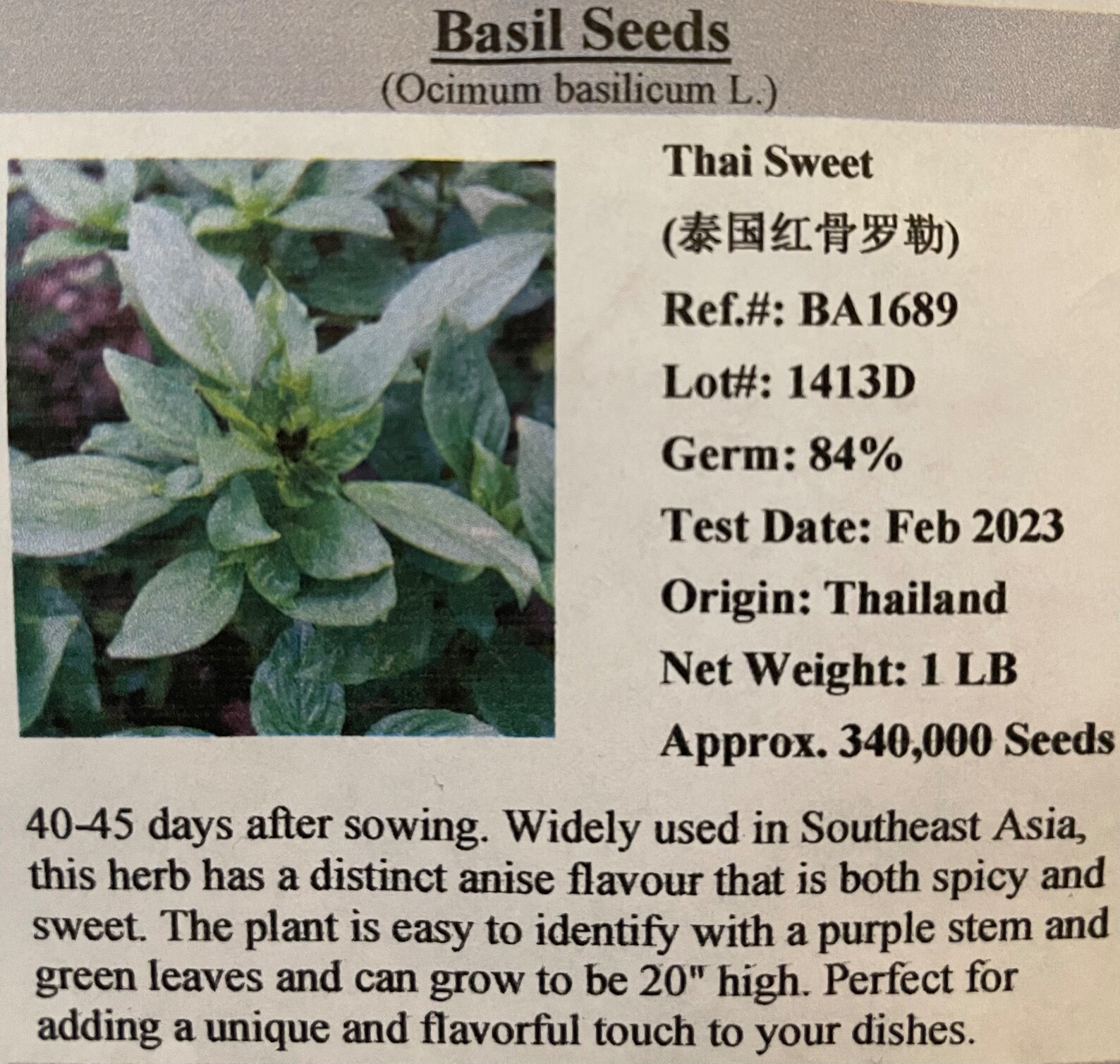 2-gram 1500+ Purple Stem Thai Sweet Basil Seeds; Non-gmo Heirloom 九層塔 ...