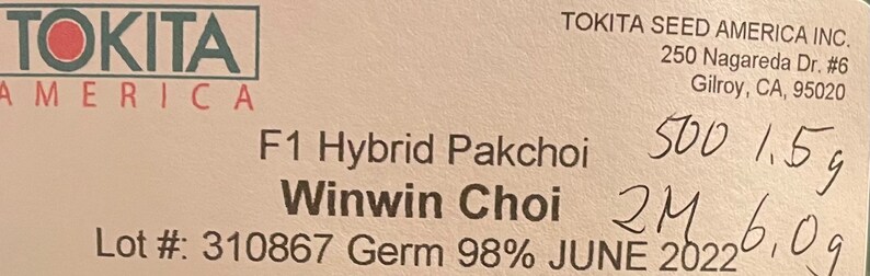 500 Winwin Choi F1 Seeds; Win-win Hybrid Pak Choi; Win Win Pac Choi ...