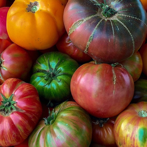 Italian Heirloom Tomato Seeds - Etsy