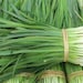 2-gram 500 NIRA Broad Leaved GARLIC CHIVE Seeds Allium - Etsy