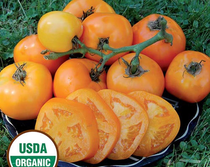 Moonglow Tomato Seeds - Etsy