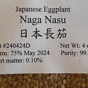 100 HONNAGA NASU Japanese Long Eggplant Seeds; 本長茄 - Etsy