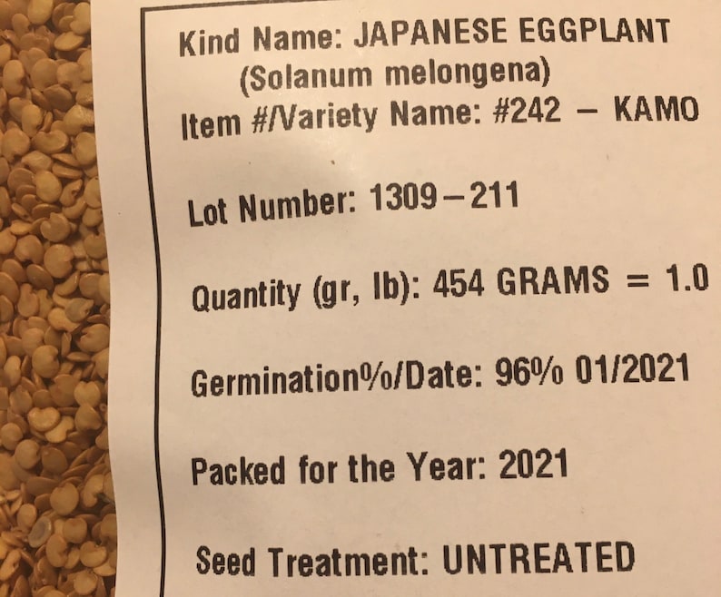 100 Japanese KAMO NASU Eggplant Seeds; 賀茂茄子 カモナス かもなす - Etsy