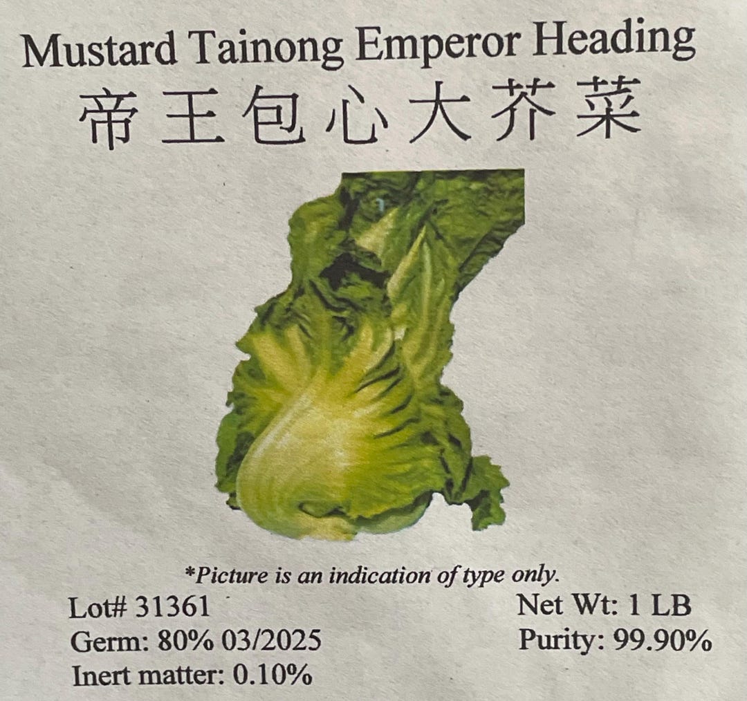 1/8-oz 2,000 GAI CHOI Cabbage Seeds - Indian Chinese Mustard Greens ...
