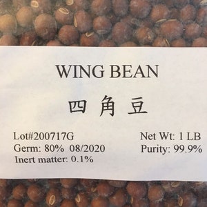 20 WINGED BEAN Seeds; Asparagus Pea, Wing Pea, Four Angled Bean; Dara ...