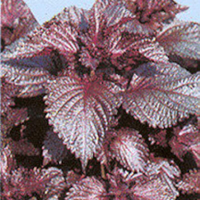 PanAsiaHeirloom - Etsy