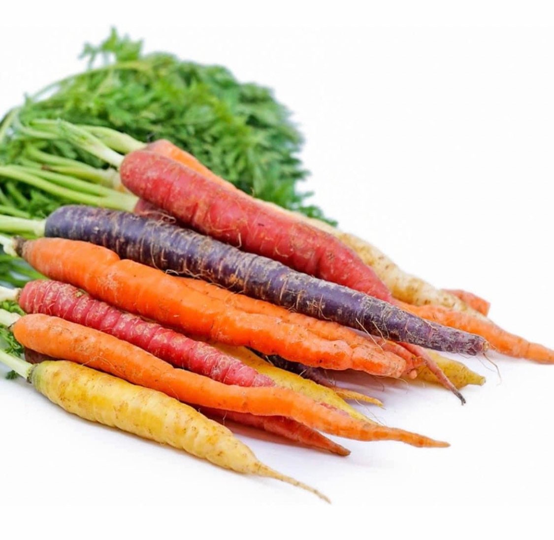 2000 Rainbow Carrot Seeds: Purple, Red, White & Orange; Urban Farmer ...