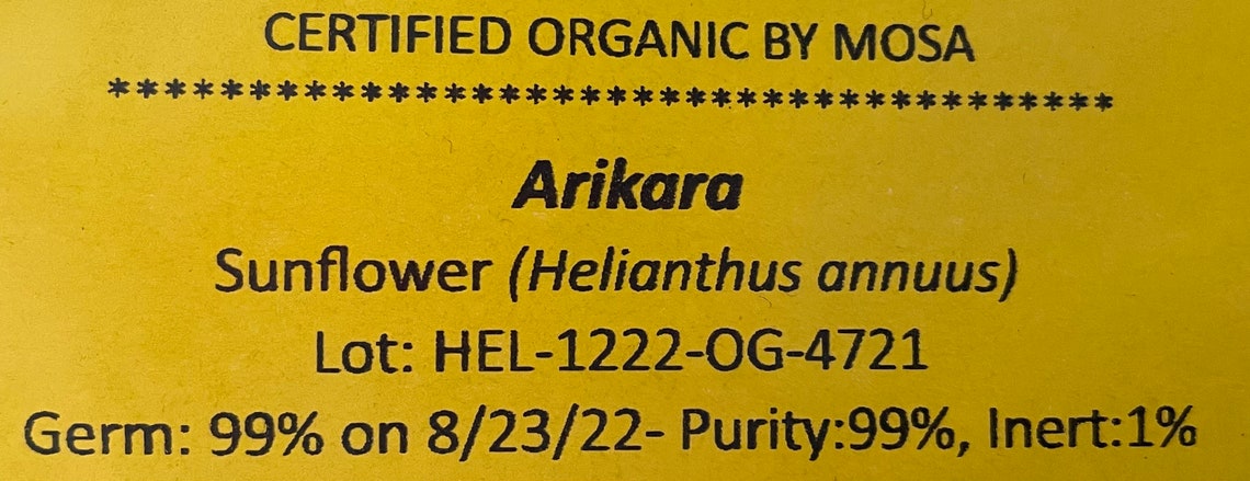 50 Organic ARIKARA Native American Sunflower Seeds; Helianthus Annuus ...