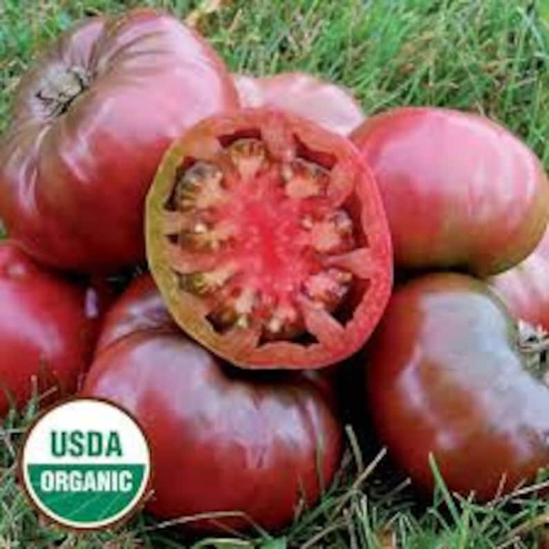 50 GERMAN PINK - Certified Organic Heirloom Tomato Seeds; Huge 1-2 Lb ...