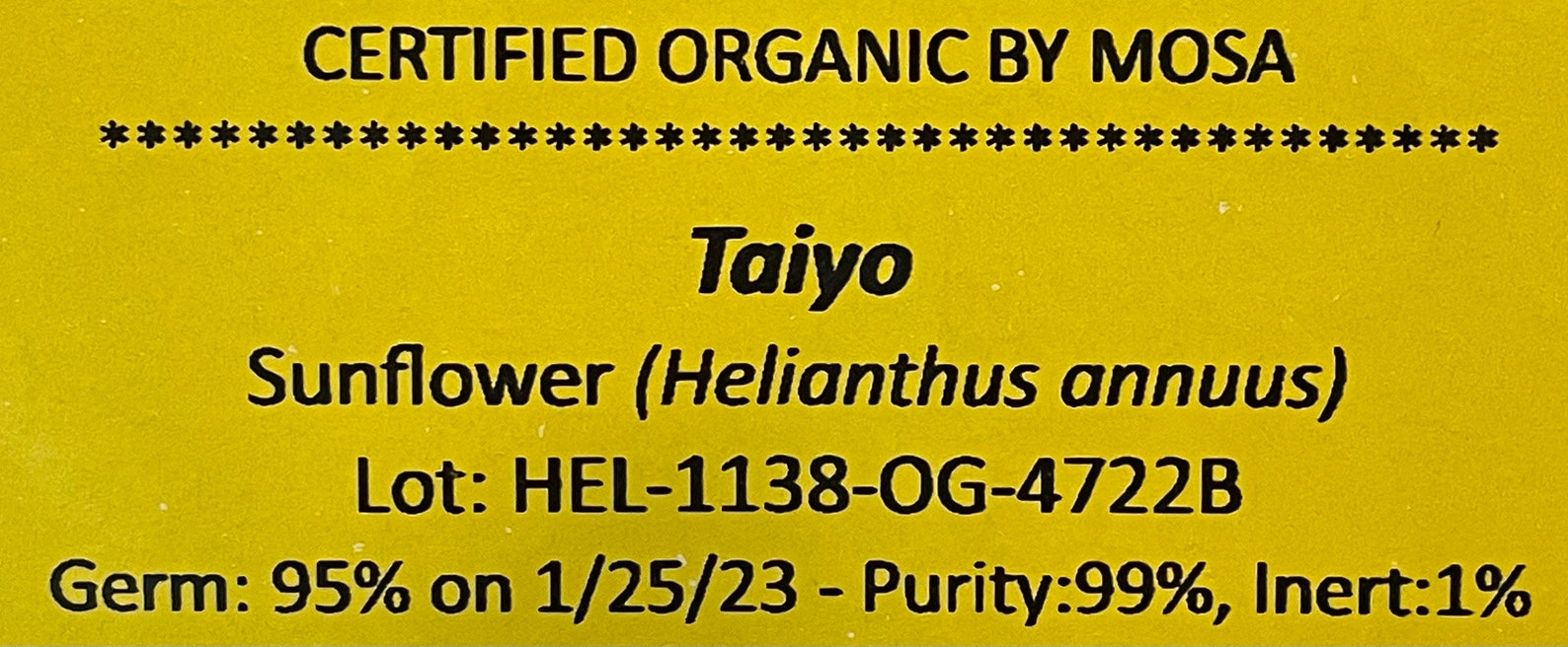 50 Organic TAIYO Japanese Sunflower Seeds; Helianthus Annuus; 10-12 ...