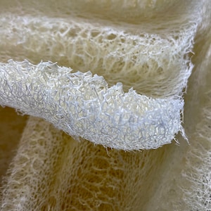 20 Jersey Giant Sponge Gourd Luffa Seeds From M.laszlo of Hunters Run ...