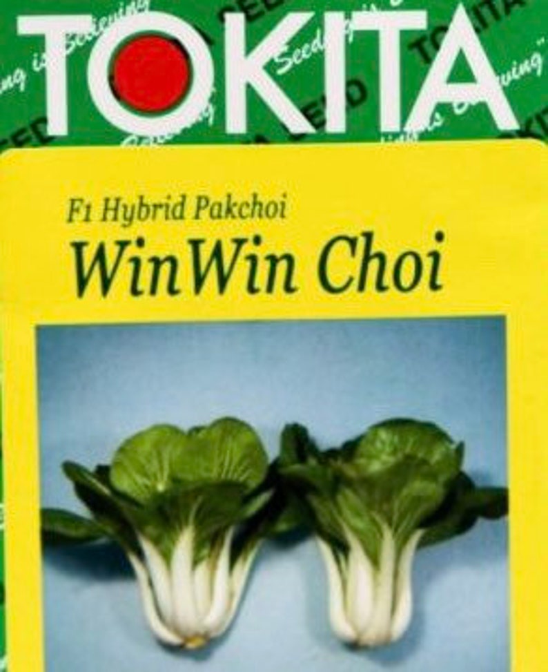 500 Winwin Choi F1 Seeds; Win-win Hybrid Pak Choi; Win Win Pac Choi ...