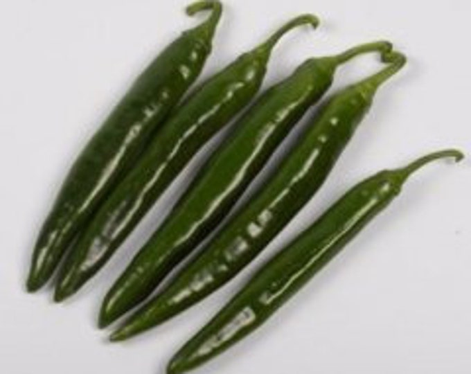 Gochugaru korean Pepper Seeds Minimum 20 Seed per Pack - Etsy