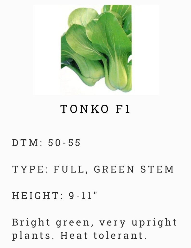2g ~1000 Tonko Hybrid Green Stem Pak Choi Seeds; Heat Tolerant Shanghai ...