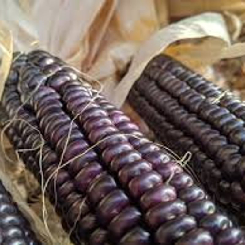 Hopi Indian - Etsy