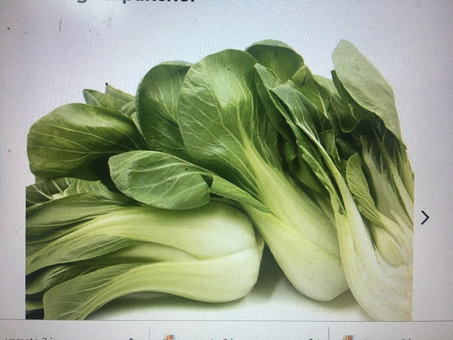 1/4-oz ~2500 Baby Shanghai Pak Choi Seeds 上海青江菜; Green Stem Bok Choy ...