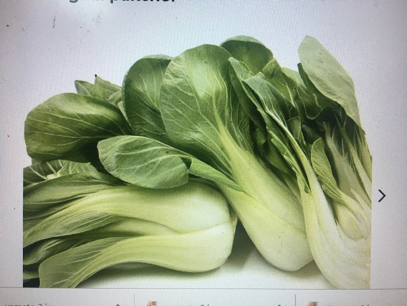 1/4-oz ~2500 Baby Shanghai Pak Choi Seeds 上海青江菜; Green Stem Bok Choy ...