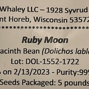 20 RUBY MOON Hyacinth Bean Seeds; Bataw Lablab; Beautiful Foliage ...