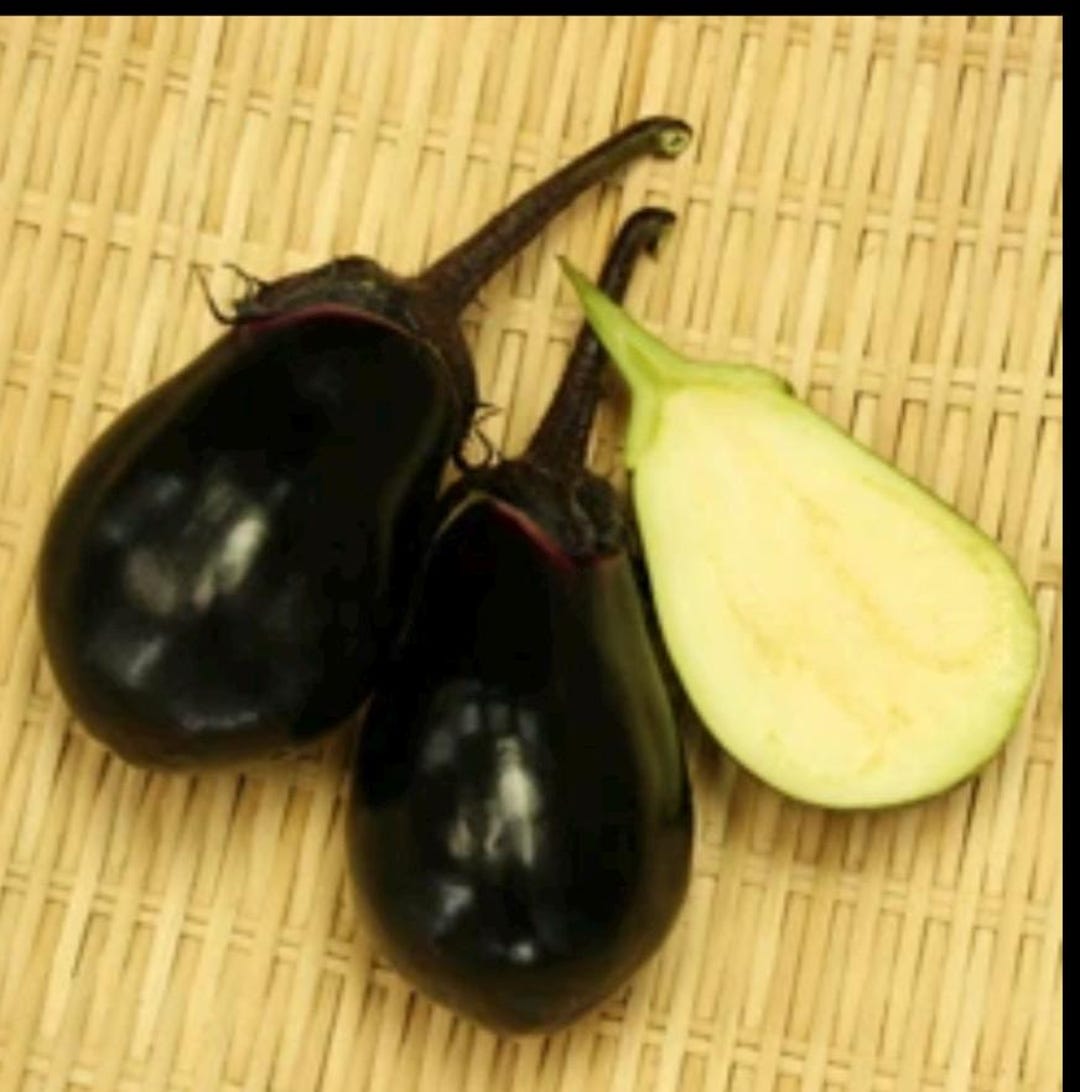 20 YUME SHIZUKU Nasu Eggplant Seeds, Sourced From Tokita; Dark Purple 4 ...