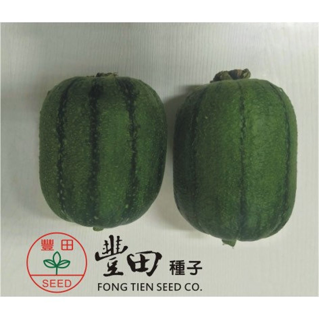 Rare Find! 5 Black King Kong LUFFA F1 Seeds; 台灣黑金剛絲瓜; Mini Taiwan Luffa ...