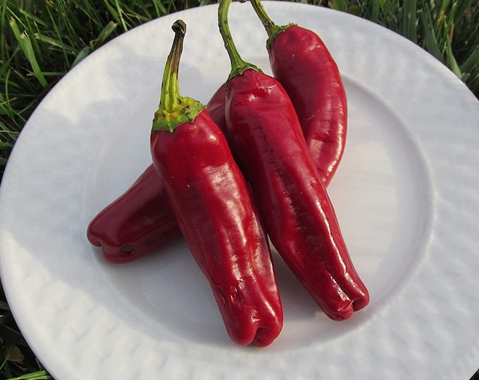 Aleppo Pepper - Etsy