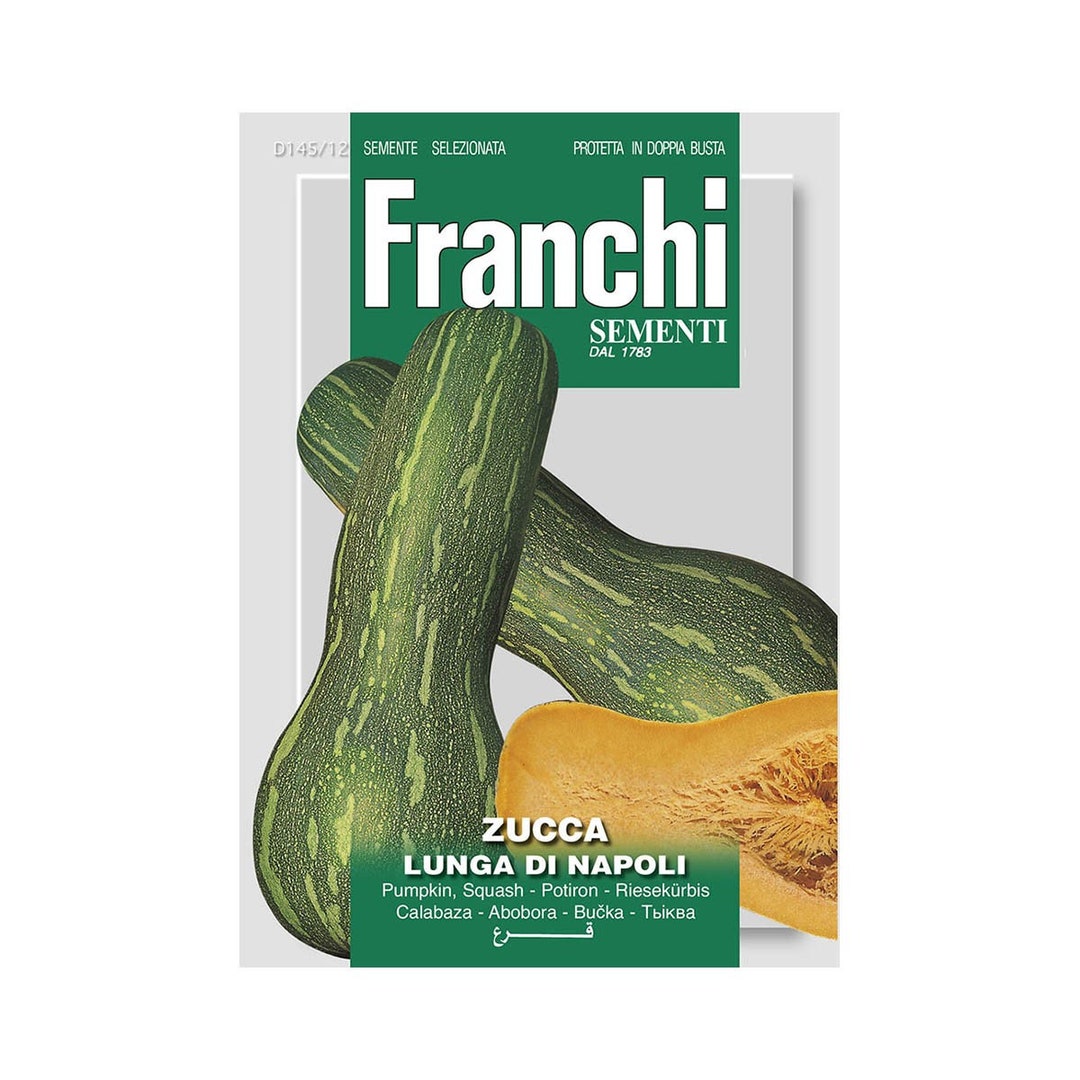 10 Zucca Lunga Di Napoli Seeds Long Pumpkin of Naples 50 - Etsy