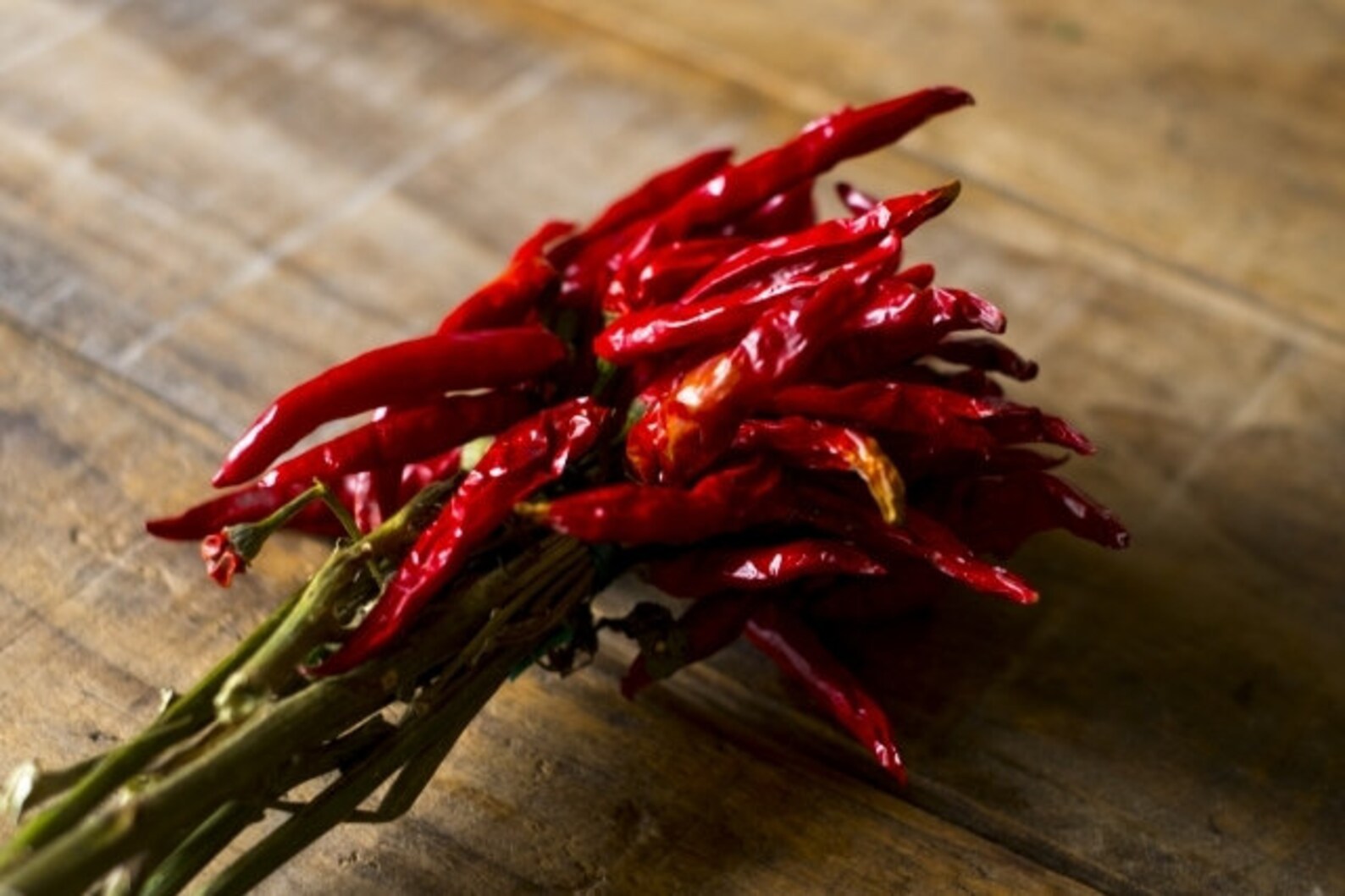 50 Takanotsume Togarashi Japanese Hot Pepper Seeds; 鷹の爪唐辛子; たかのつめとうがらがら ...
