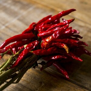 50 Takanotsume Togarashi Japanese Hot Pepper Seeds; 鷹の爪唐辛子; たかのつめとうがらがら ...