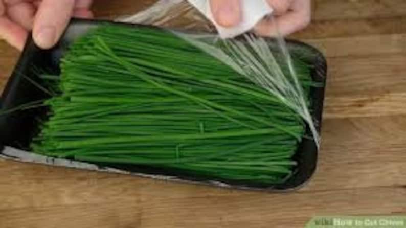 2-gram ~500 NIRA Broad Leaved GARLIC CHIVE Seeds; Allium Tuberosum ...