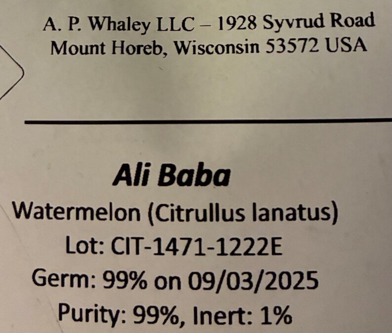 20 ALI BABA WATERMELON Seeds; Alibaba; Heirloom From Iraq - Etsy