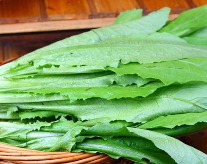 3-gram 2000 NEW YU MAI Taiwan Sword Leaf Lettuce Heirloom 新油麥菜 - Etsy