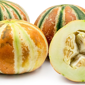 20++ KAJARI MELON Seeds; Amazingly Beautiful Striped Sweet Melon From ...