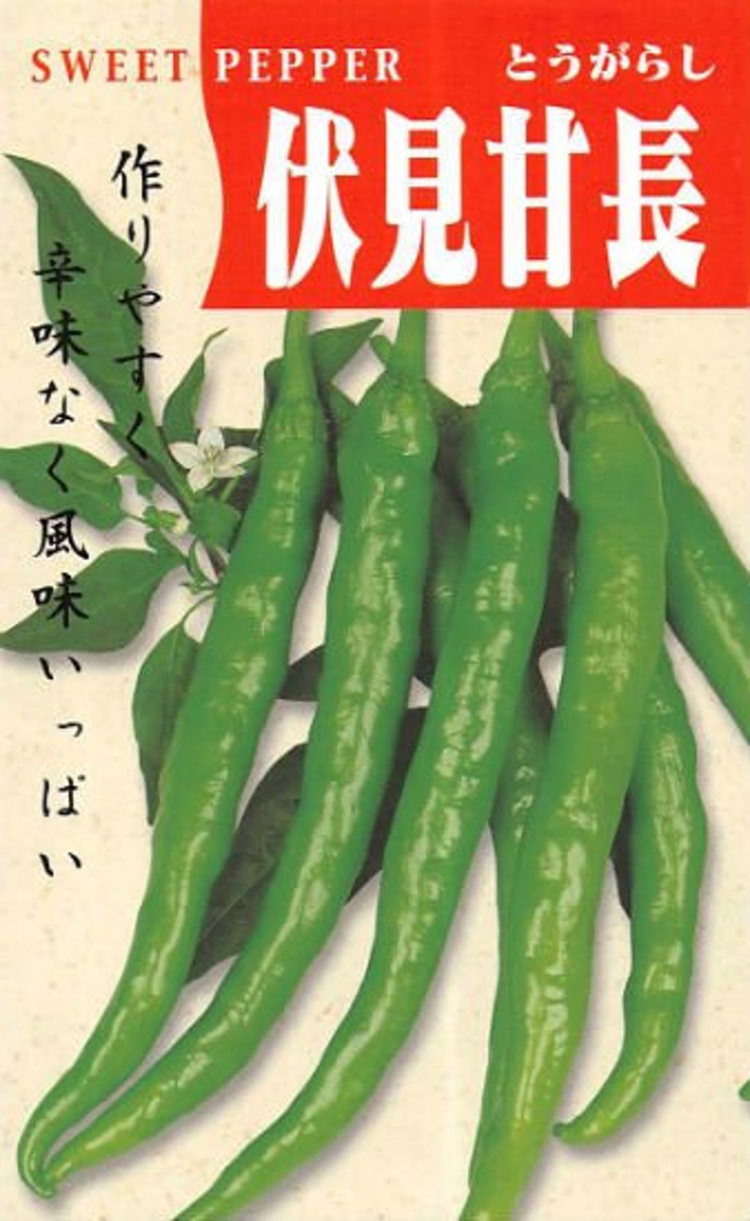 50 Fushimi Sweet Long Japanese Sweet Pepper Seeds; 伏見甘長唐辛子 ふしみあまなが - Etsy