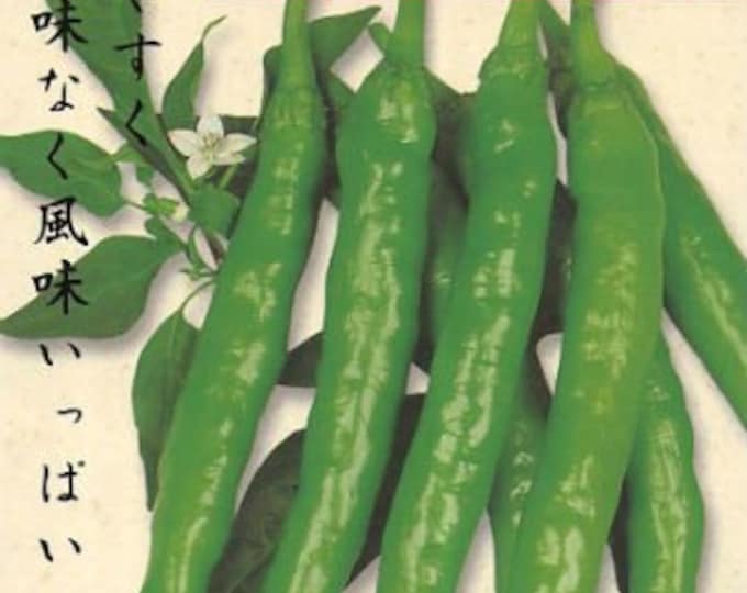 Takanotsume Pepper, Hawks Claw, 10 Seeds, Japanese Heirloom Chili ...