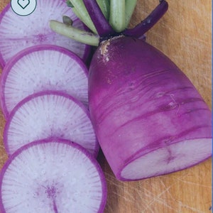 100 Mini Purple Hybrid Daikon Seeds; Japanese Novelty Radish - Etsy