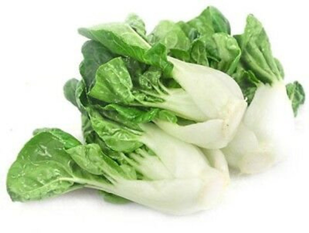 16,000+ 2-OZ Pak Choi Canton Seeds 廣東白菜 / White Stem Bok Choy; Heirloom ...