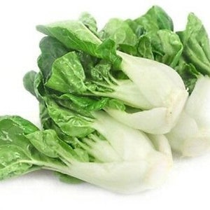 16,000+ 2-OZ Pak Choi Canton Seeds 廣東白菜 / White Stem Bok Choy; Heirloom ...