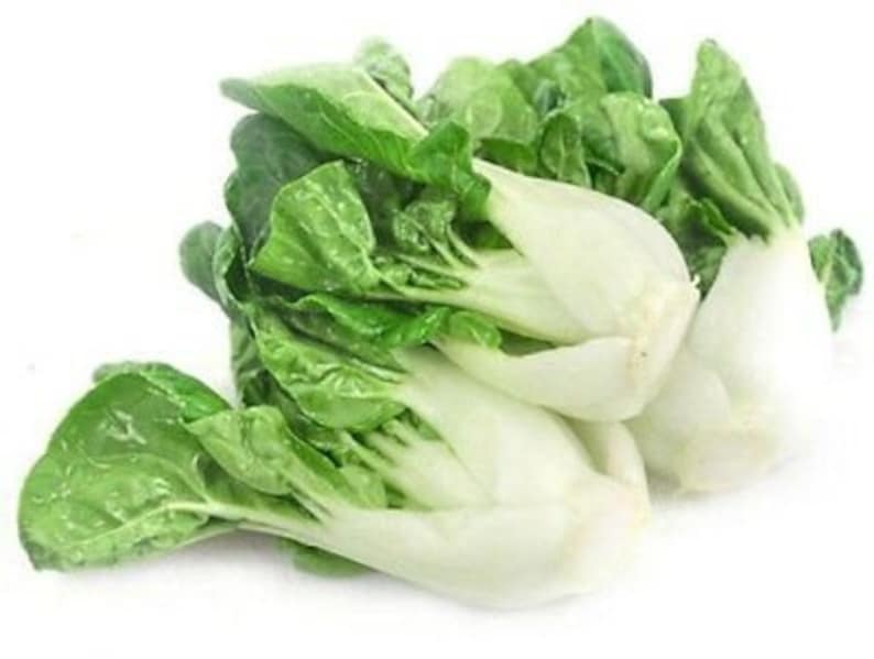 16,000+ 2-OZ Pak Choi Canton Seeds 廣東白菜 / White Stem Bok Choy; Heirloom ...