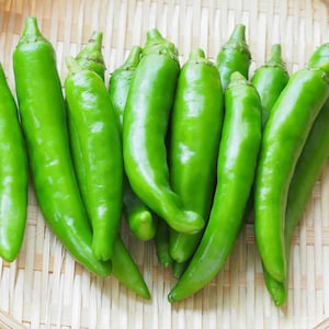 50 Takanotsume Togarashi Japanese Hot Pepper Seeds; 鷹の爪唐辛子; たかのつめとうがらがら ...