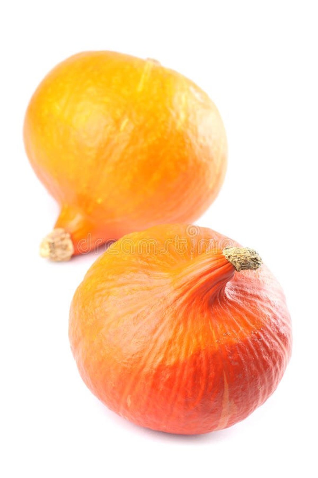 15 UCHIKI RED KURI Hokkaido Winter Squash Seeds; Japanese Hubbard ...