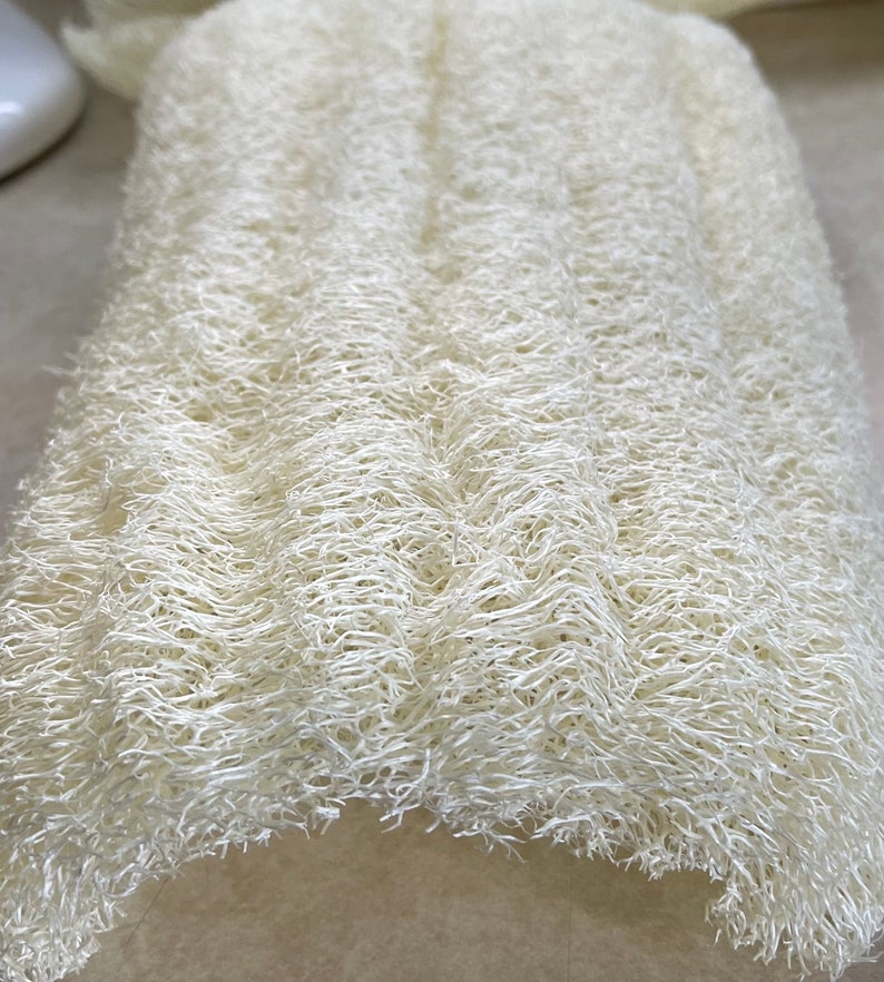 20 Jersey Giant Sponge Gourd Luffa Seeds From M.laszlo of Hunters Run ...