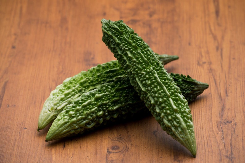 10 OKINAWA GOYA Bittermelon Seeds Nigauri Bitter Melon Gourd - Etsy